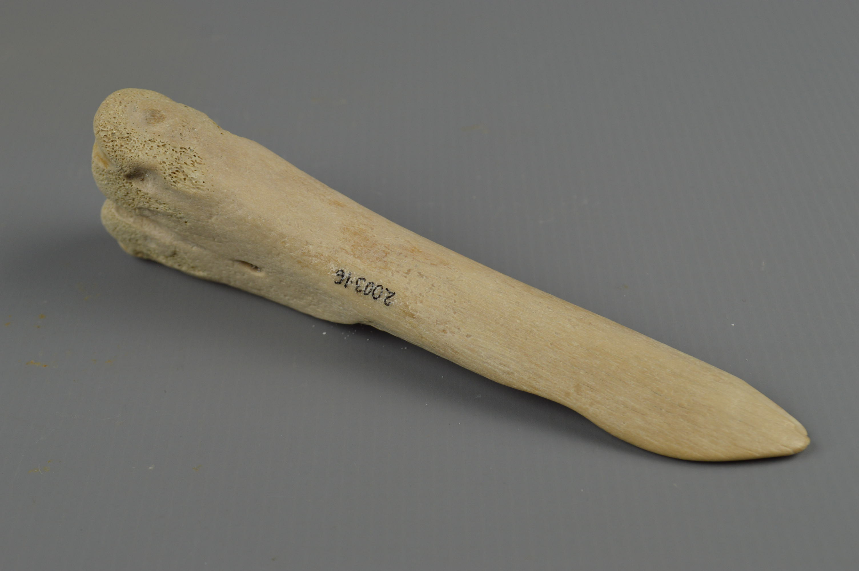 Archaeology Collections - Outer Hebrides Heritage Services