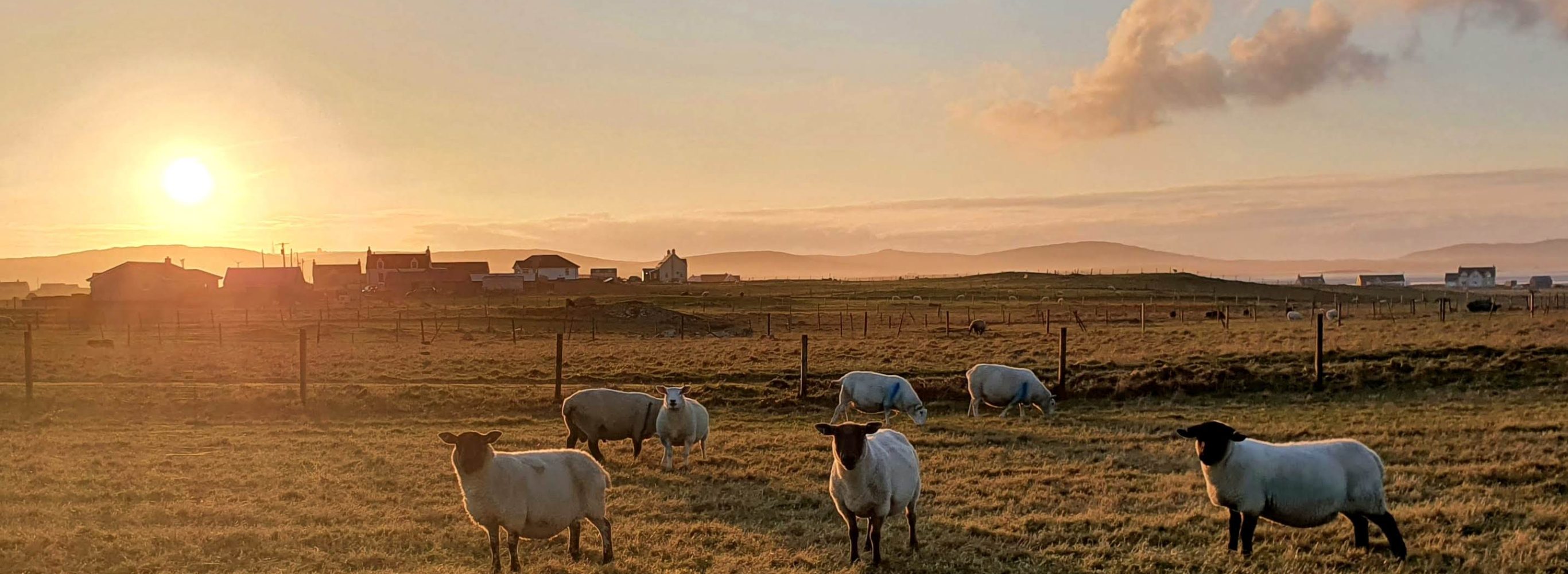 Crofting Collection - Outer Hebrides Heritage Services
