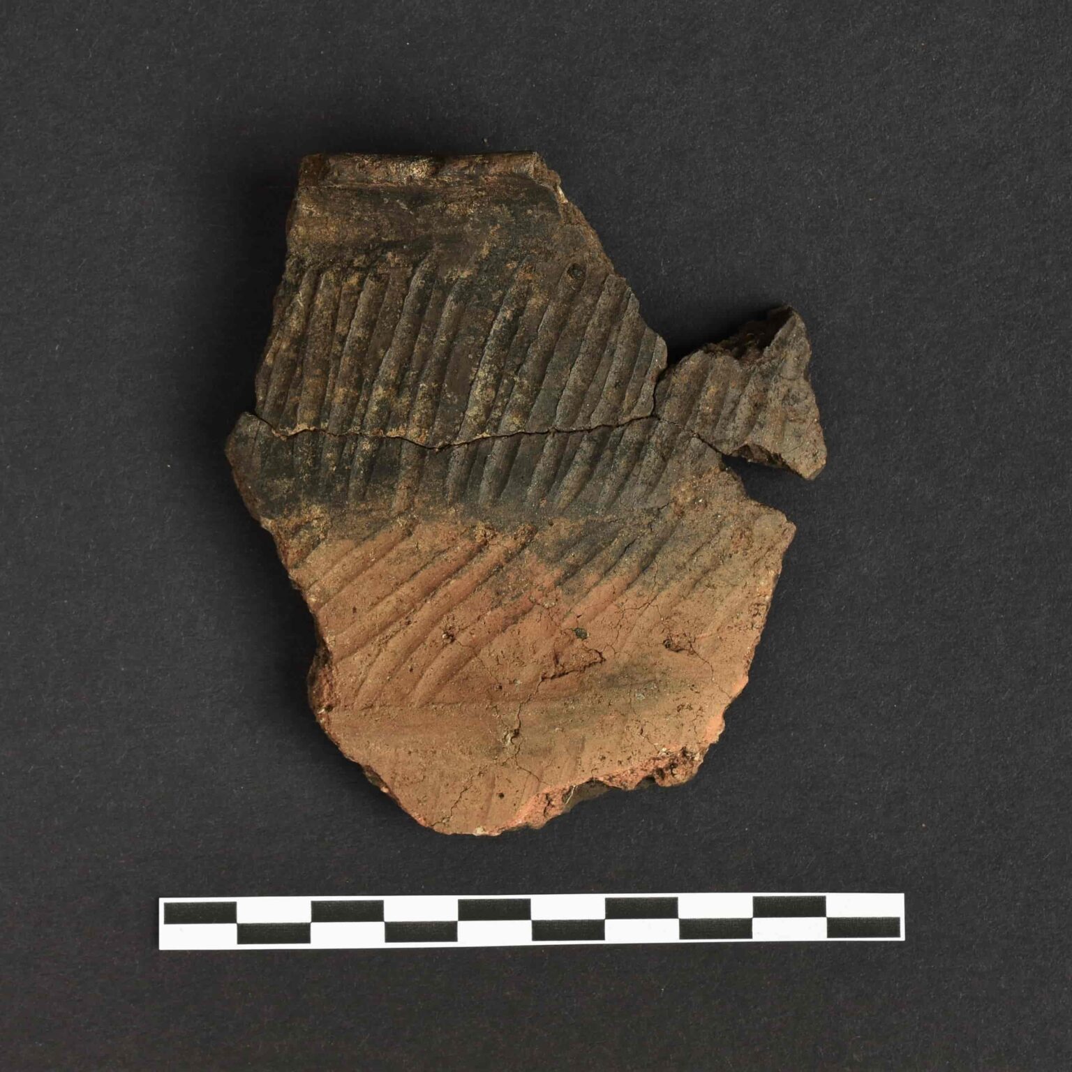 Archaeology assemblages from stack sites: Dunasbroc - Outer Hebrides ...