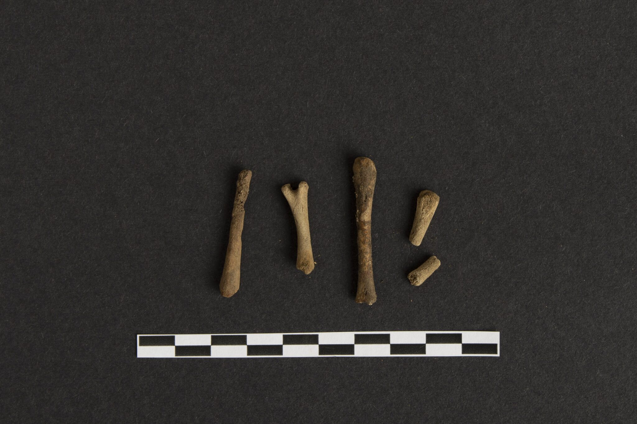 Archaeology Collections - Outer Hebrides Heritage Services
