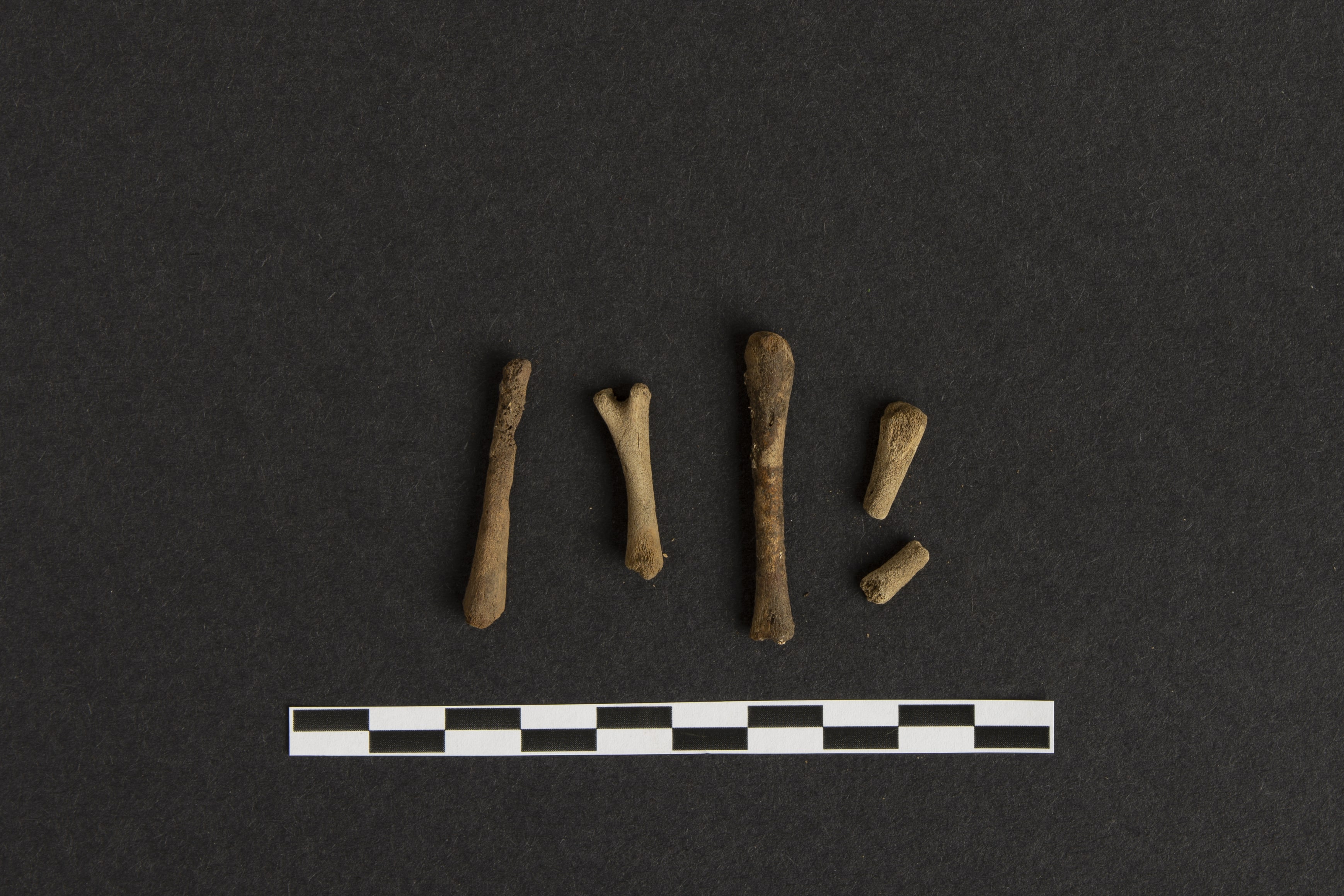 Archaeology Collections - Outer Hebrides Heritage Services